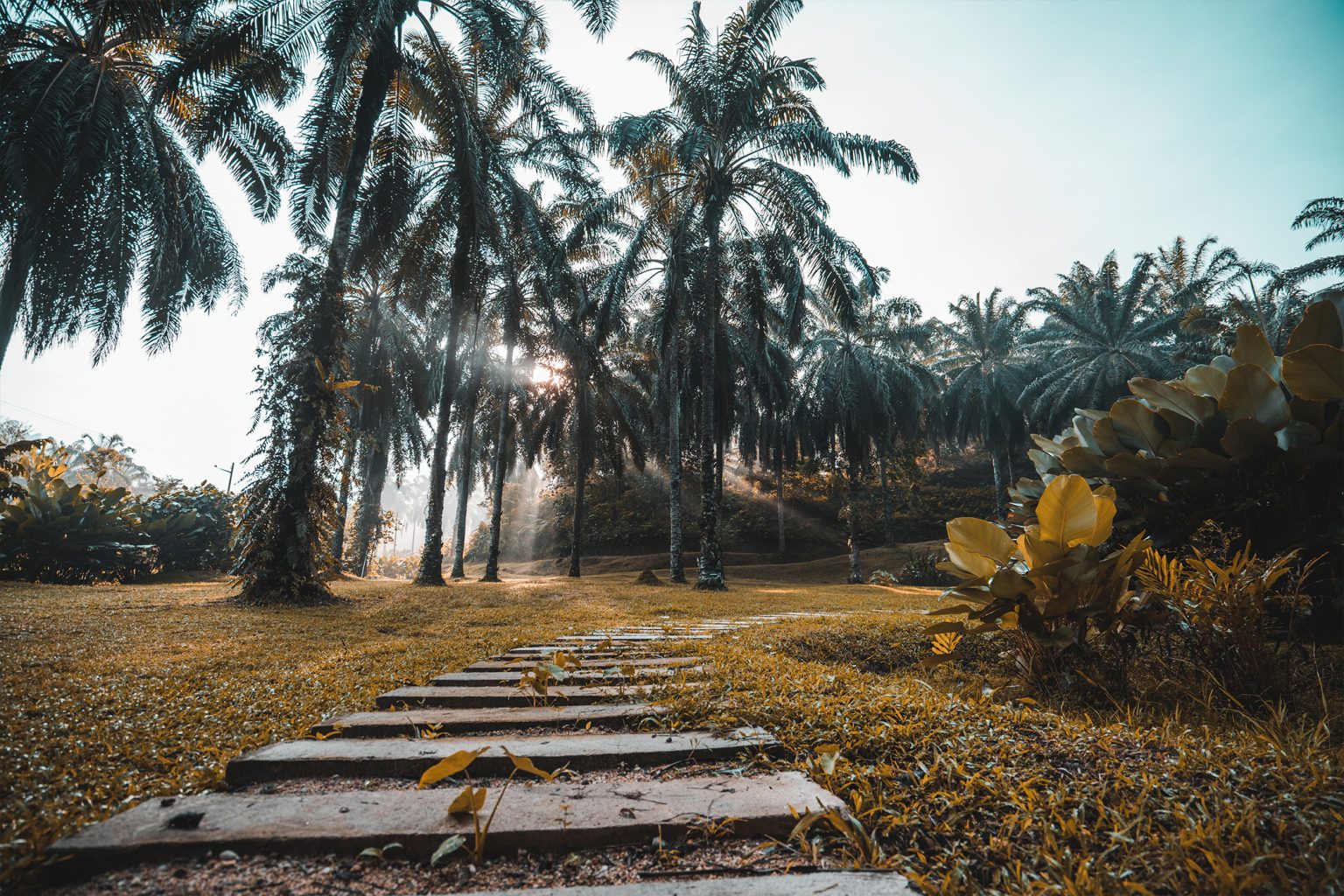 Experience - Sementra Hot Spring Nature Resort